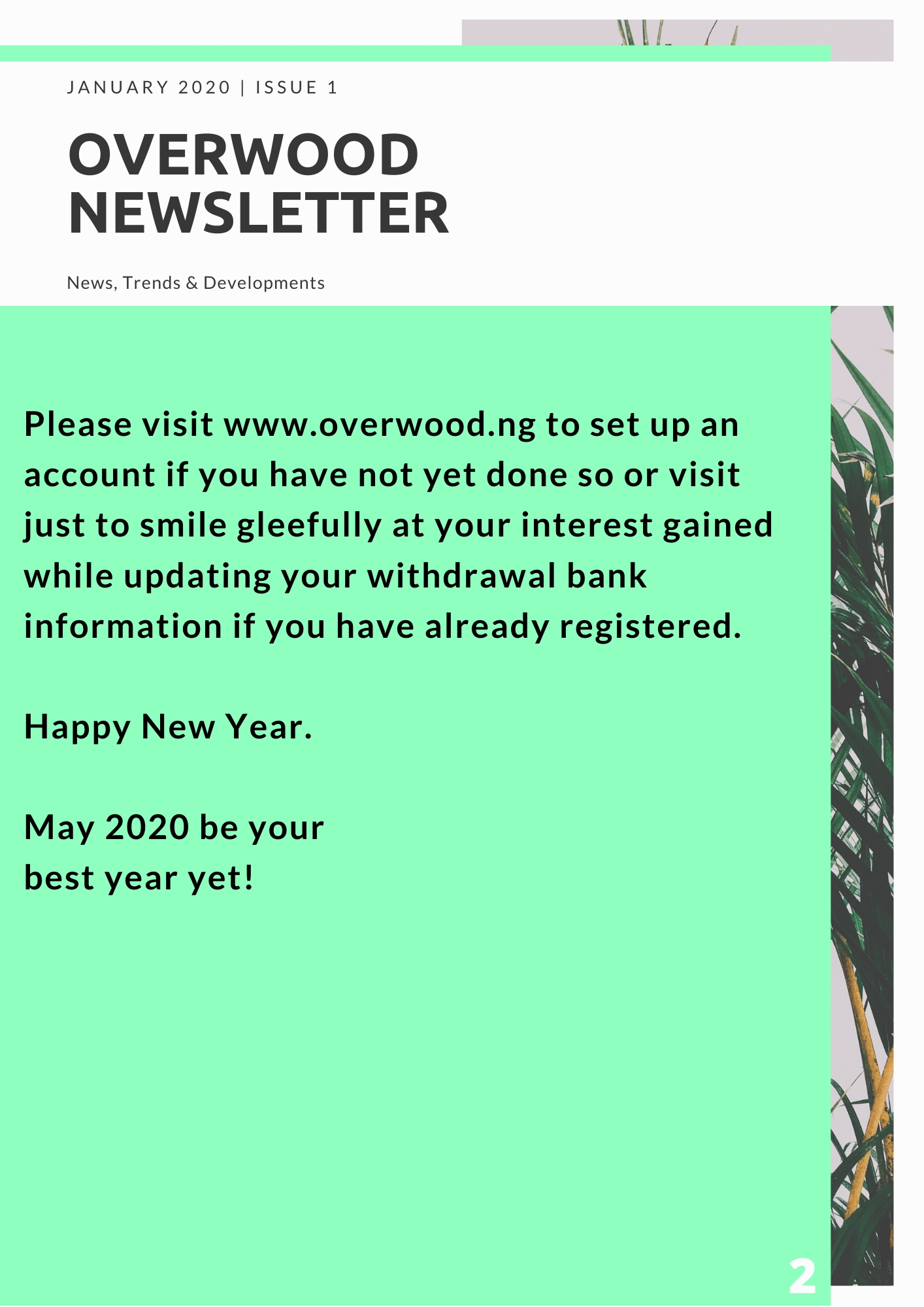 OVERWOOD Has Launched! - Bravewood