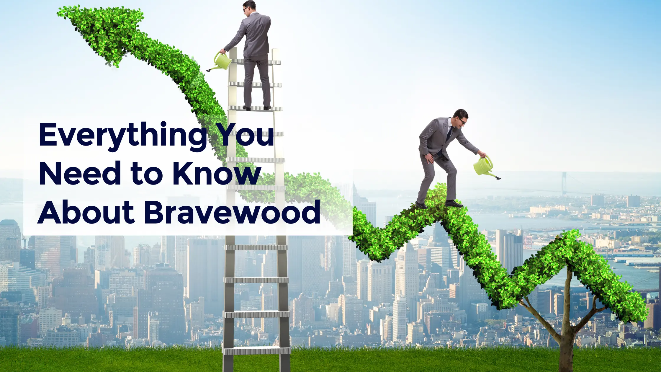 Everything You Need To Know About Bravewood - Bravewood