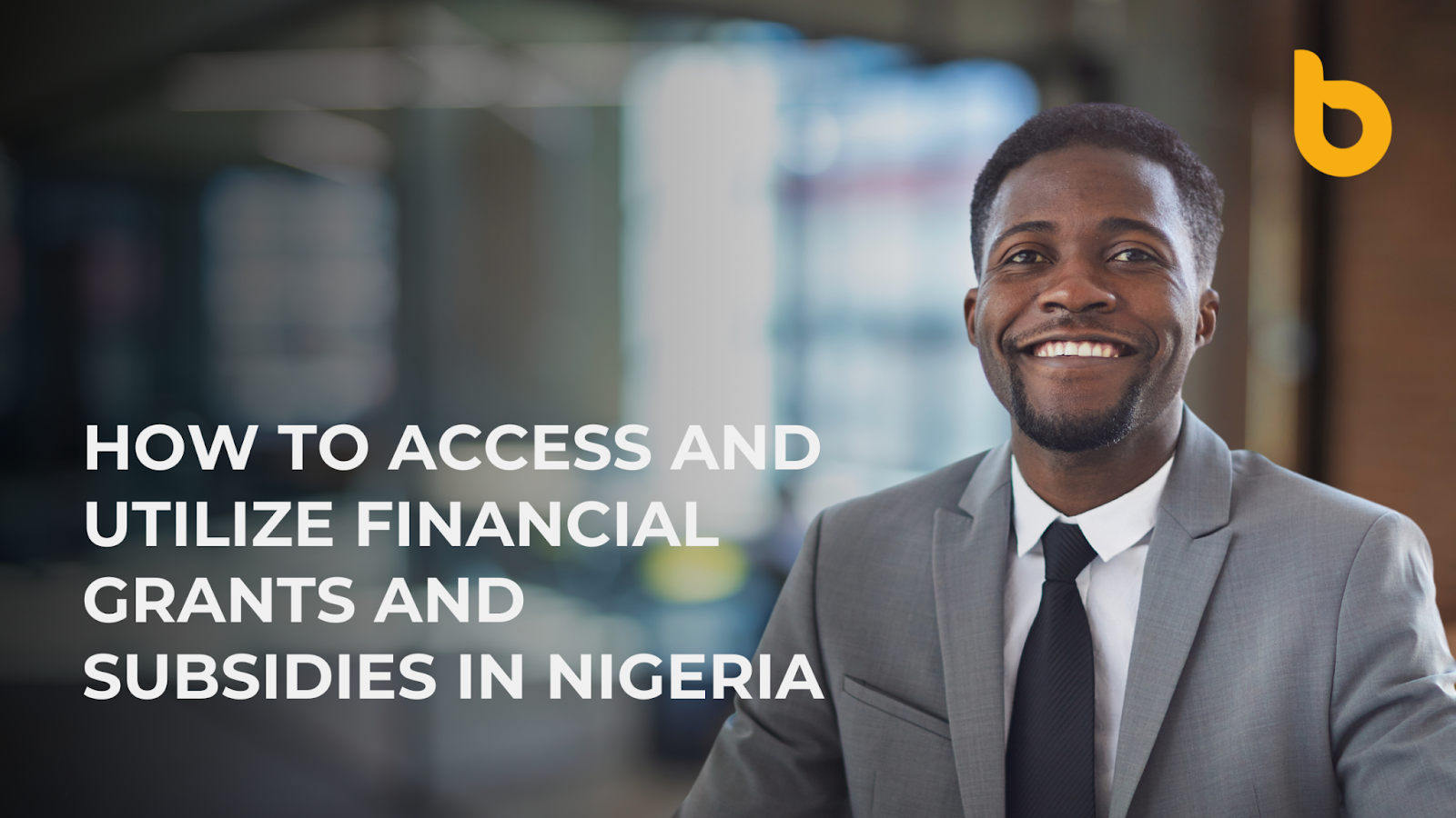 How to Access and Utilize Financial Grants and Subsidies in Nigeria ...