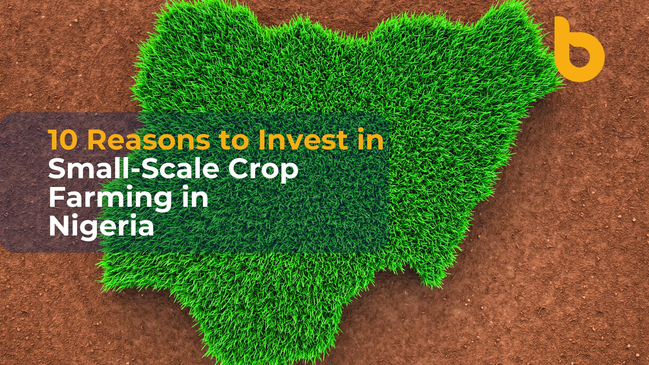 10 Compelling Reasons to Invest in Small-Scale Crop Farming in Nigeria ...